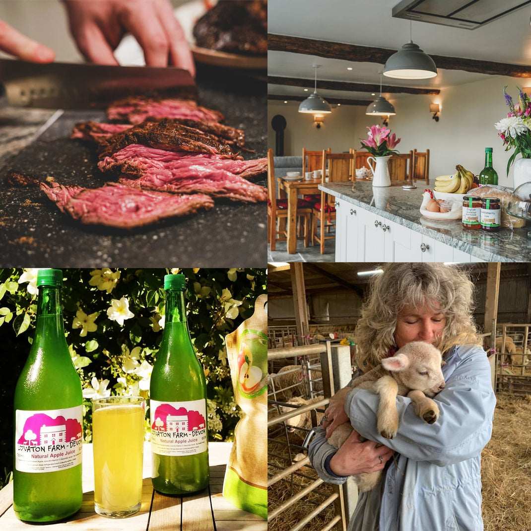 Lovaton Farm - Meat Boxes and Devon Accommodation